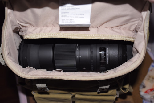 【适马150-600C是超长焦的合适选择】适马150-600mm f/5-6.3 DG OS HSM Contemporary 尼康卡口 镜头网友点评-ZOL中关村在线